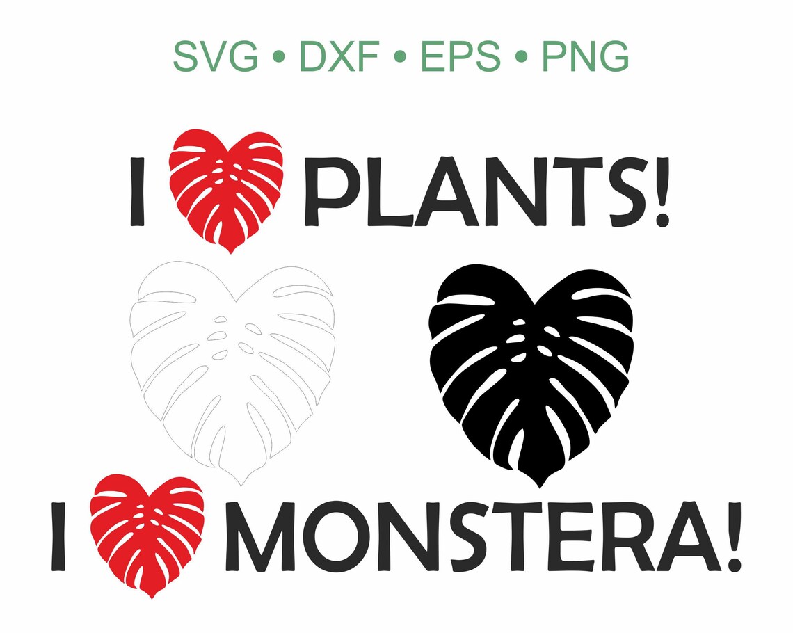Monstera Leaf Digital Download Dxf Svg Png Eps - Etsy