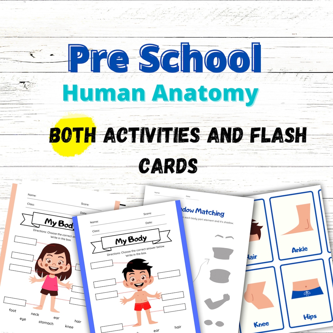 Preschool Curriculum Human Anatomy Activities Autumn - Etsy