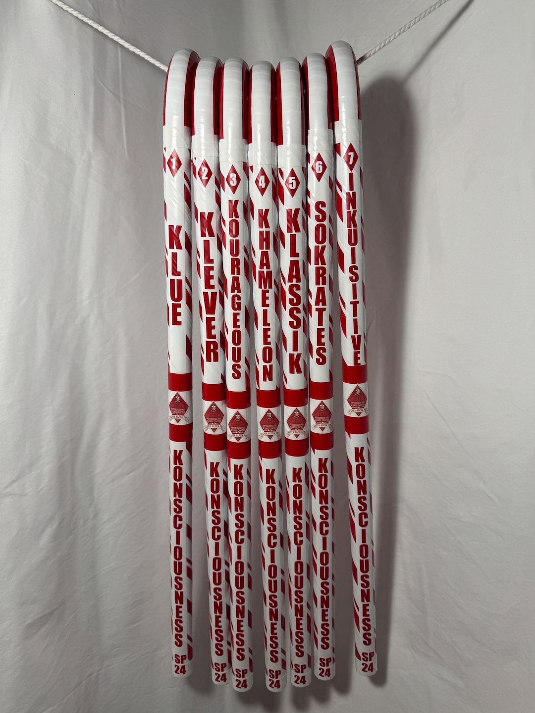 Custom Canes for Kappa Alpha Psi and Sigma Gamma Rho/ Greek Life ...