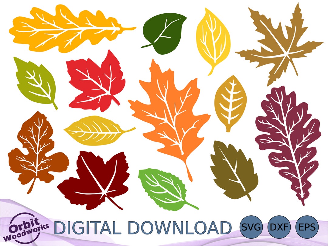 Fall Leaves SVG DXF EPS, Autumn Leave Bundle, Leaf Clipart, Laser Cut ...