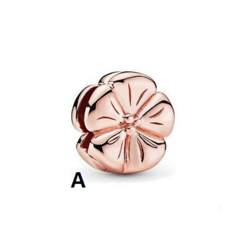 Rose Gold Mesh Reflexions Bracelet Charm, Heart Love Clip Charms ...