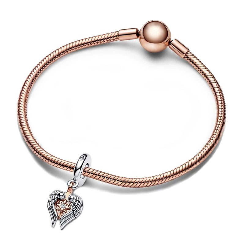Angel Wings Dangle Charm, 2024 New Charm for Pandora Bracelet Necklace ...