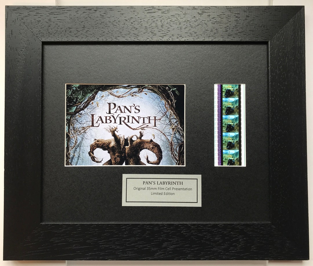 PAN'S LABYRINTH Original Filmcell Memorabilia COA - Etsy UK