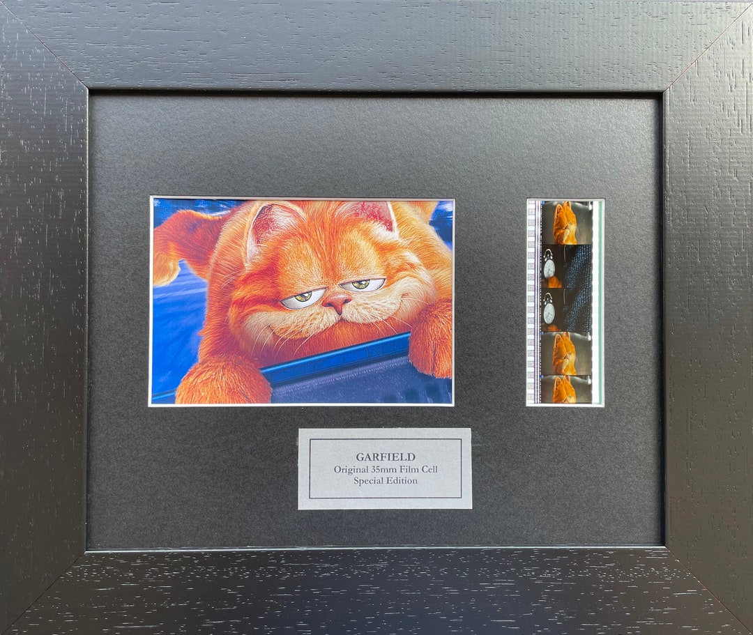 GARFIELD the Movie of 2004 Original 35mm Film Cell Presentation + COA ...