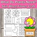 What a Flower Needs to Grow, Preschool Curriculum, Learning About ...