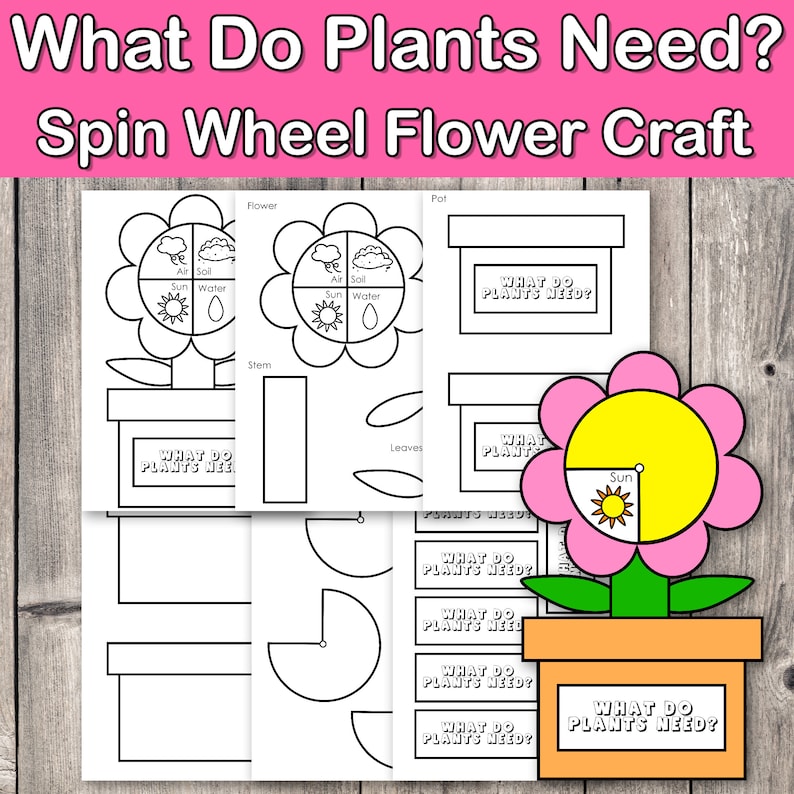 What a Flower Needs to Grow, Preschool Curriculum, Learning About ...