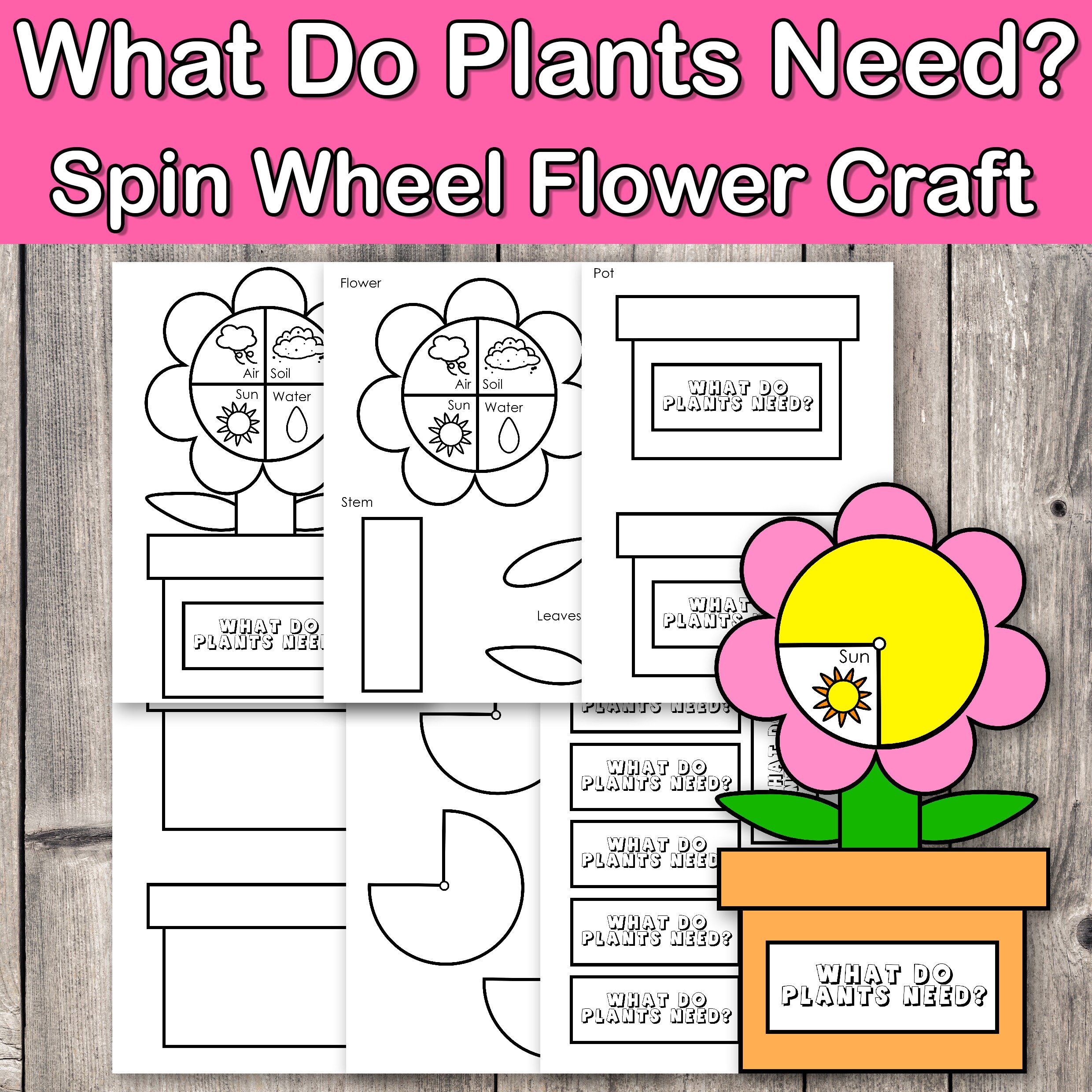 What a Flower Needs to Grow, Preschool Curriculum, Learning About ...