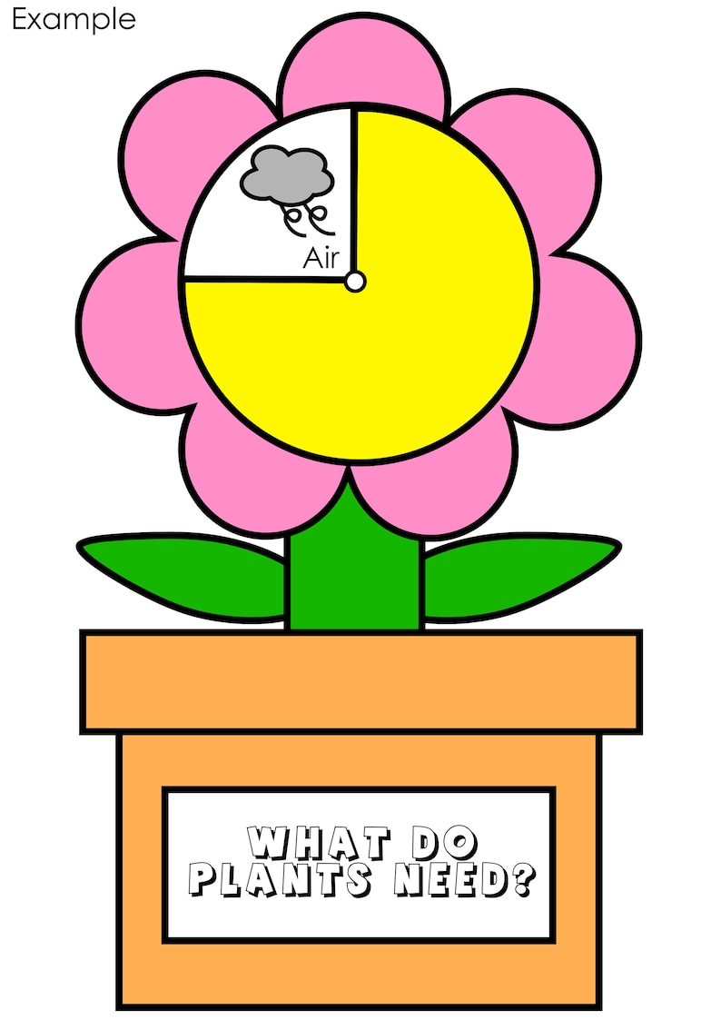 What a Flower Needs to Grow, Preschool Curriculum, Learning About ...