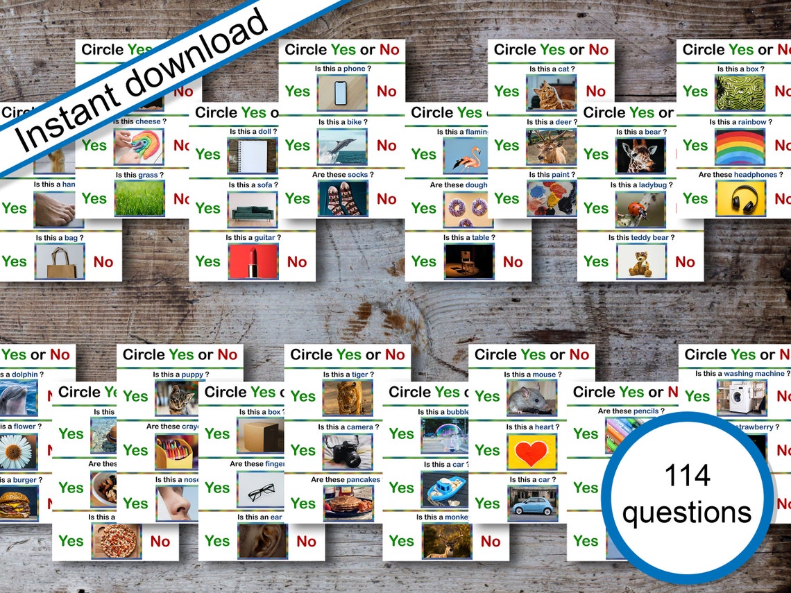 Yes or No Questions for Speech Therapy, Autism Activity, Non Verbal ...