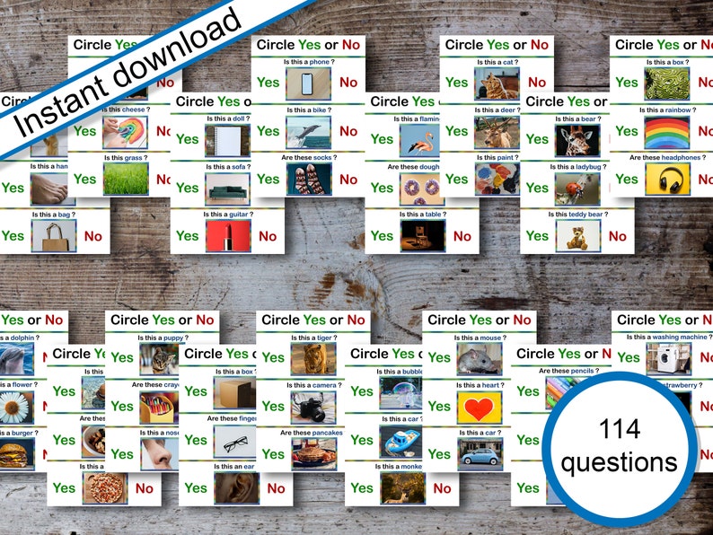 Yes or No Questions for Speech Therapy, Autism Activity, Non Verbal ...