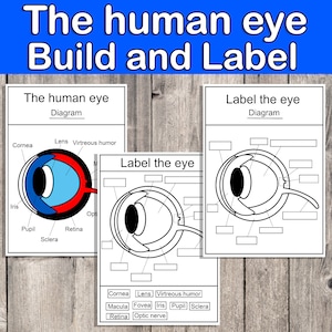 The Human Eye, Build and Label the Eye , Biology, Human Anatomy Poster ...