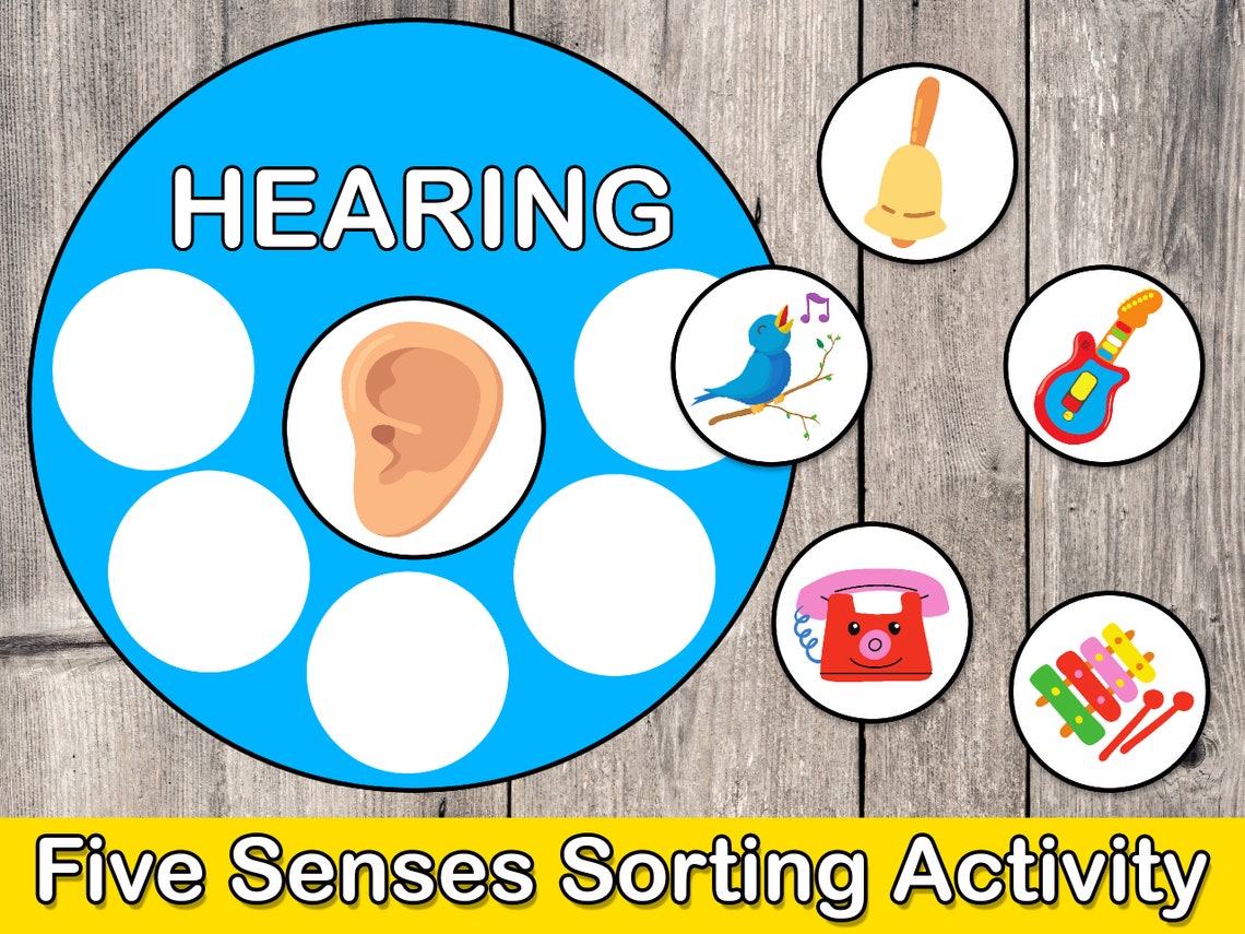 Five Senses Sorting Activity Printable, 5 Senses Sorting, Busy Book ...