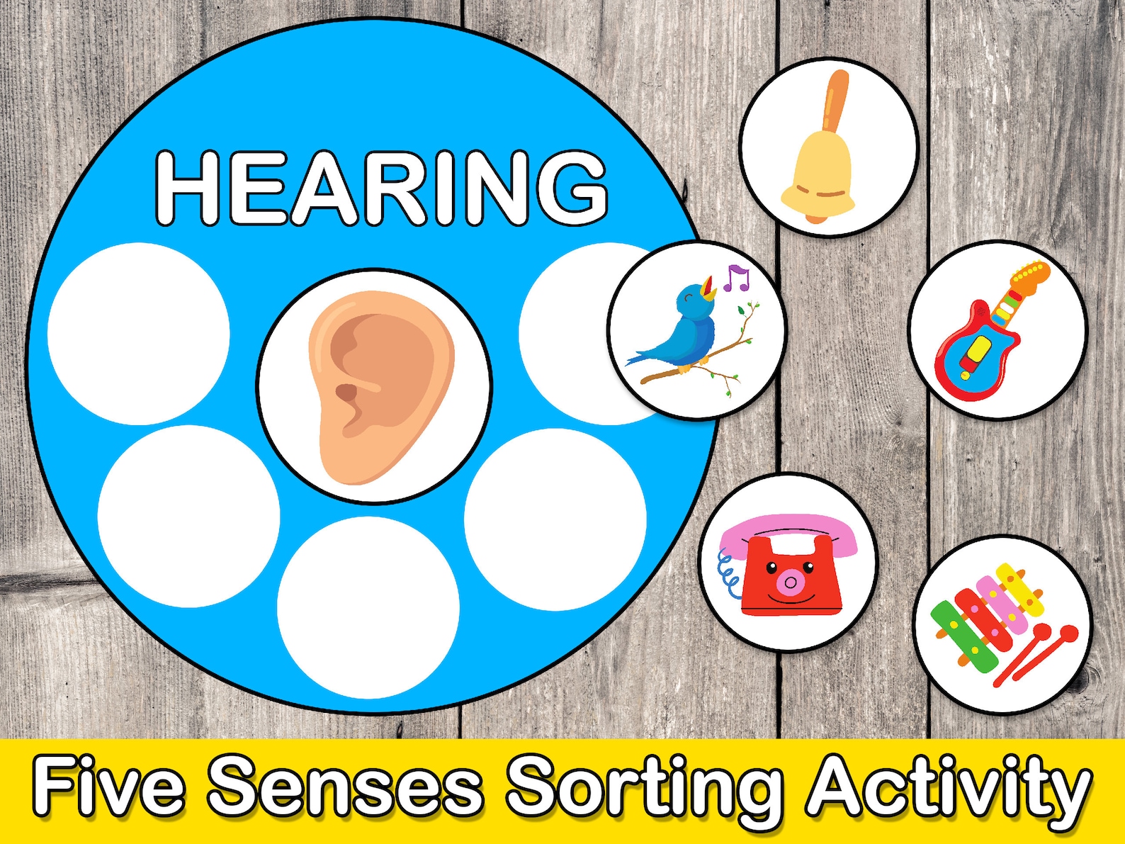 Five Senses Sorting Activity Printable, 5 Senses Sorting, Busy Book ...