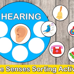 Five Senses Sorting Activity Printable, 5 Senses Sorting, Busy Book ...