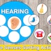 Five Senses Sorting Activity Printable, 5 Senses Sorting, Busy Book ...