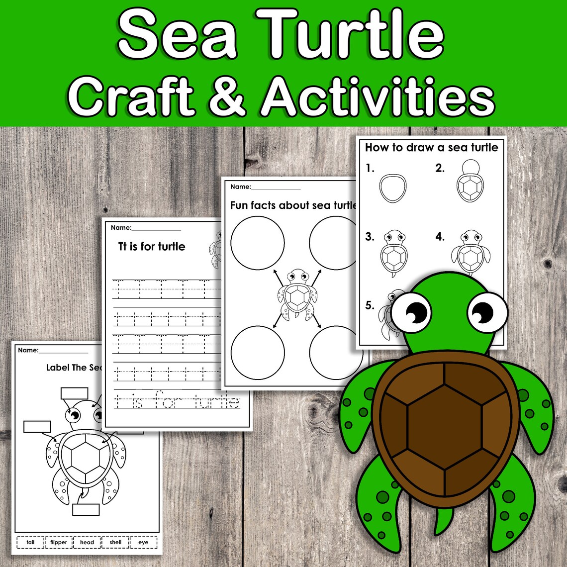 Sea Turtle Craft and Activities, Ocean Animals Activities, Homeschool ...