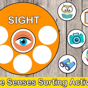 Five Senses Sorting Activity Printable, 5 Senses Sorting, Busy Book ...