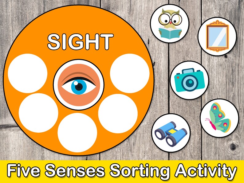 Five Senses Sorting Activity Printable, 5 Senses Sorting, Busy Book ...
