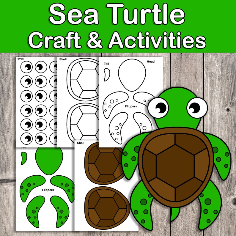 Sea Turtle Craft and Activities, Ocean Animals Activities, Homeschool ...