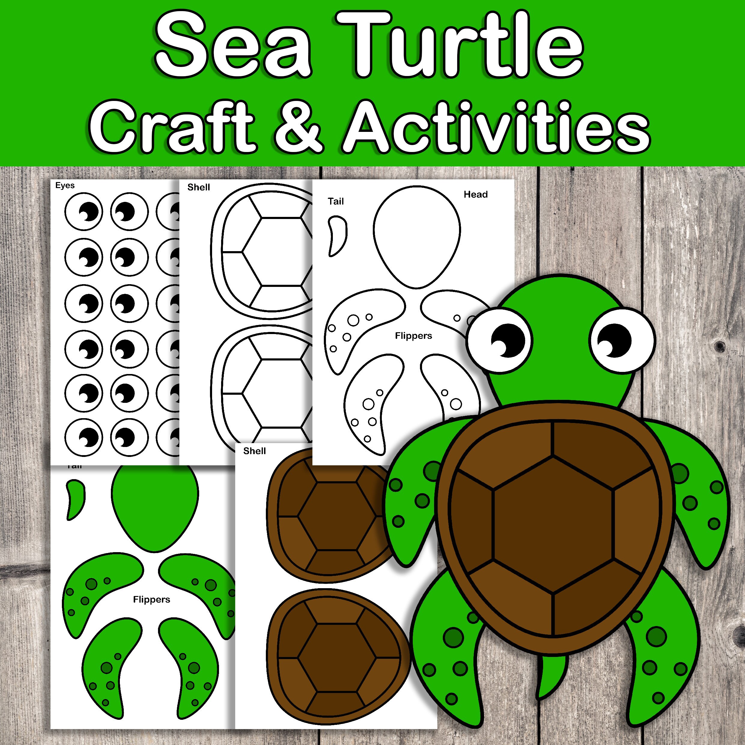 Sea Turtle Craft and Activities, Ocean Animals Activities, Homeschool ...