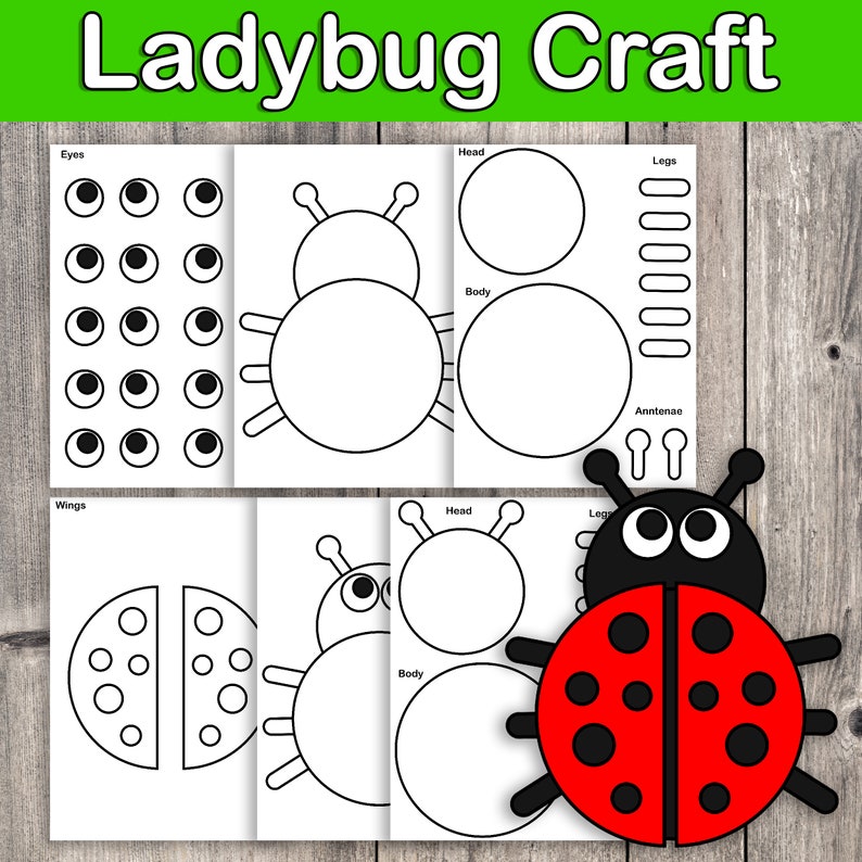 Ladybug Craft, Ladybug Life Cycle, Spring Craft Activity, Homeschool ...