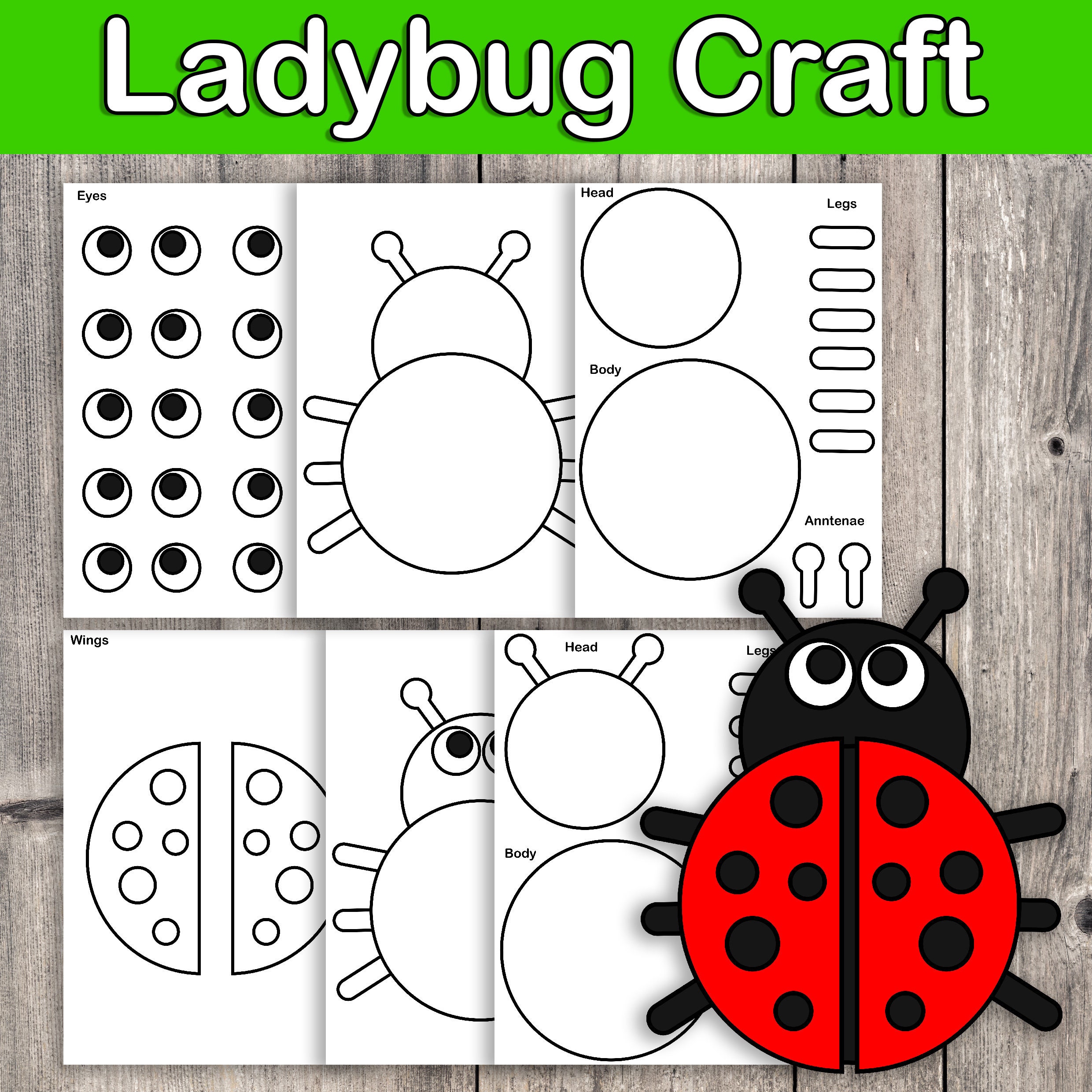 Ladybug Craft, Ladybug Life Cycle, Spring Craft Activity, Homeschool ...