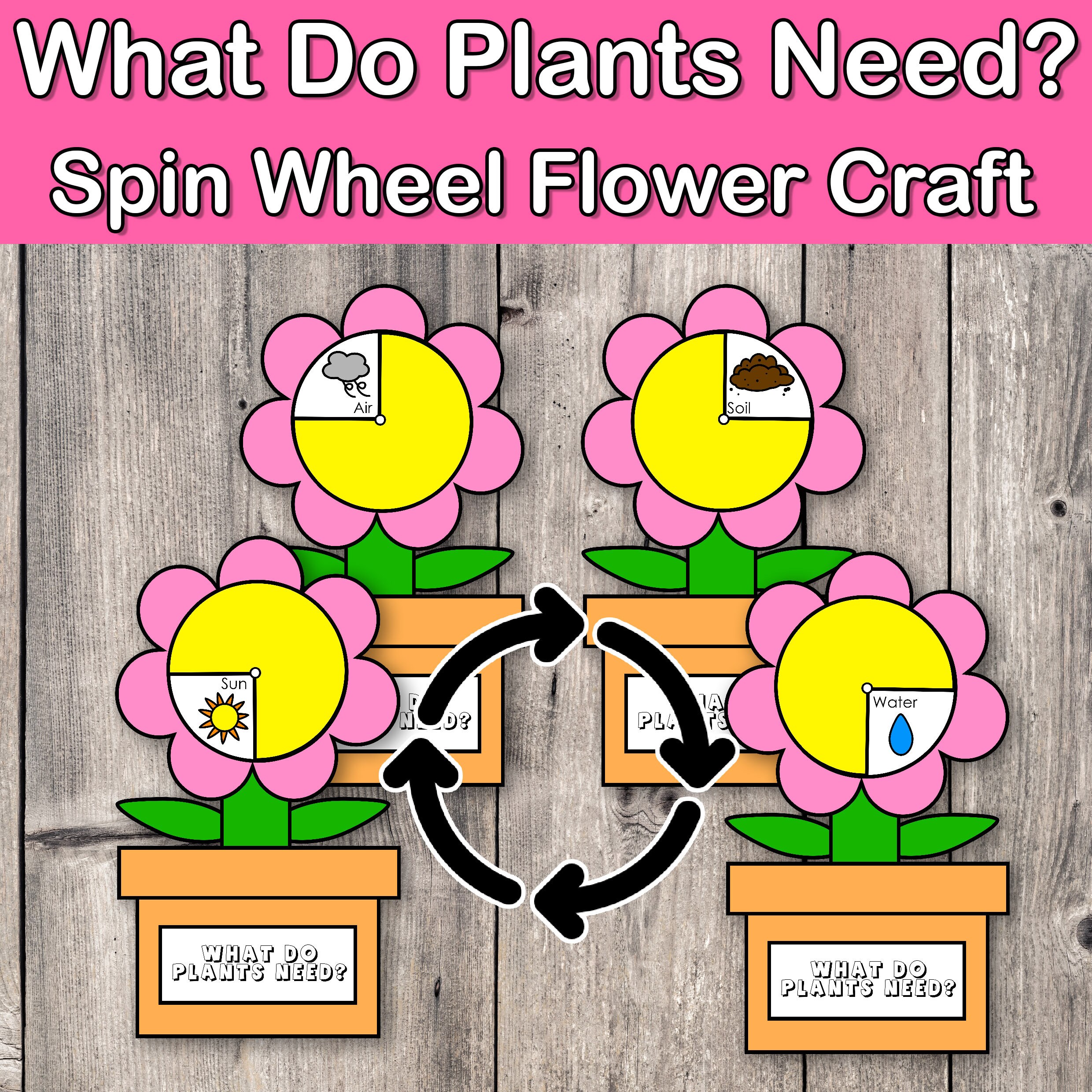 What a Flower Needs to Grow, Preschool Curriculum, Learning About ...