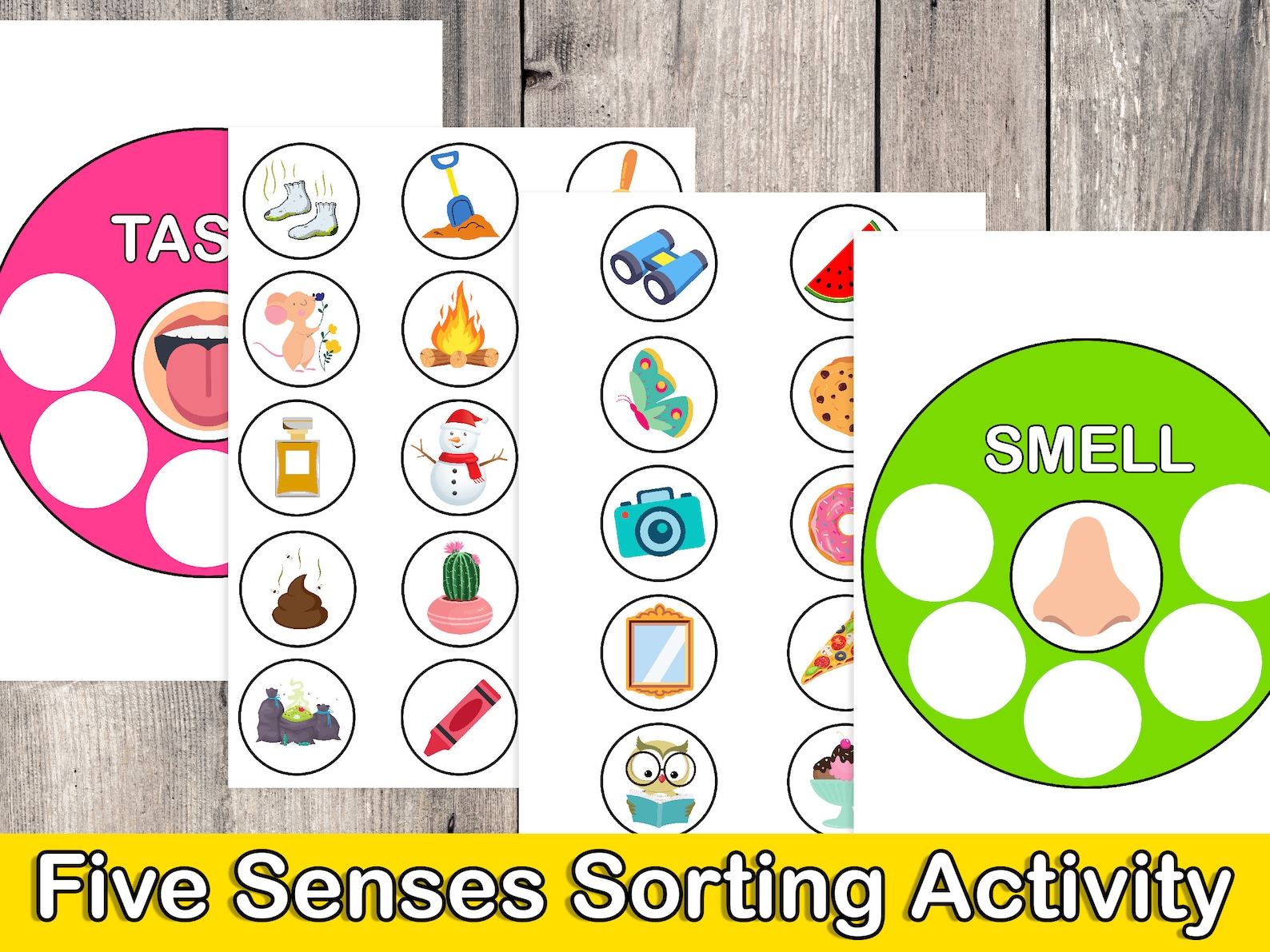 Five Senses Sorting Activity Printable, 5 Senses Sorting, Busy Book ...