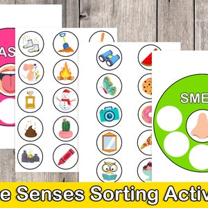 Five Senses Sorting Activity Printable, 5 Senses Sorting, Busy Book ...