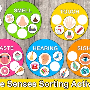 Five Senses Sorting Activity Printable, 5 Senses Sorting, Busy Book ...