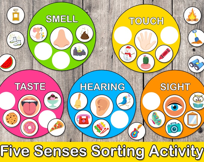 Five Senses Sorting Activity -5 Senses Sorting, Busy Book , Toddler ...