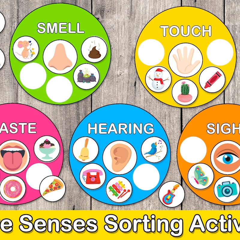 Five Senses Preschool - Etsy