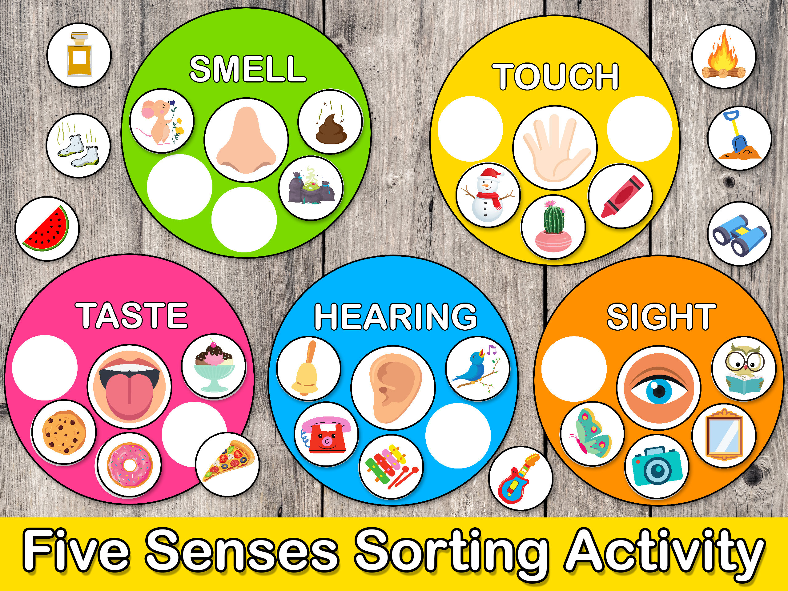 Five Senses Sorting Activity Printable, 5 Senses Sorting, Busy Book ...