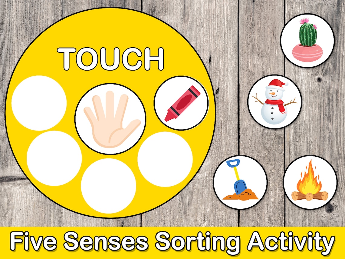 Five Senses Sorting Activity Printable, 5 Senses Sorting, Busy Book ...