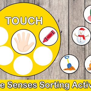 Five Senses Sorting Activity Printable, 5 Senses Sorting, Busy Book ...