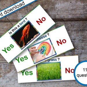 Yes or No Questions for Speech Therapy, Autism Activity, Non Verbal ...