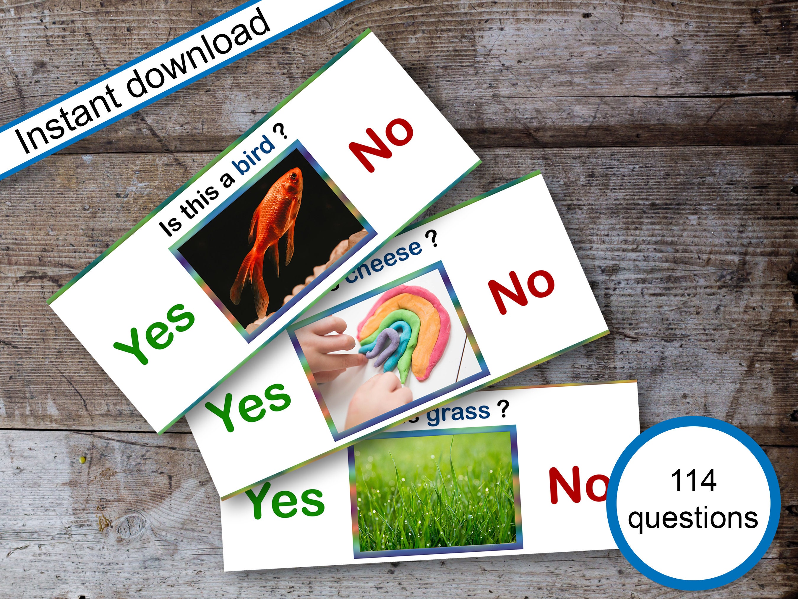 Yes or No Questions for Speech Therapy, Autism Activity, Non Verbal ...