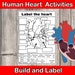 Label the Heart Poster, Human Heart Anatomy Craft, Build and Label ...