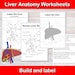 Build and Label the Human Liver Anatomy Worksheets Liver Activities ...