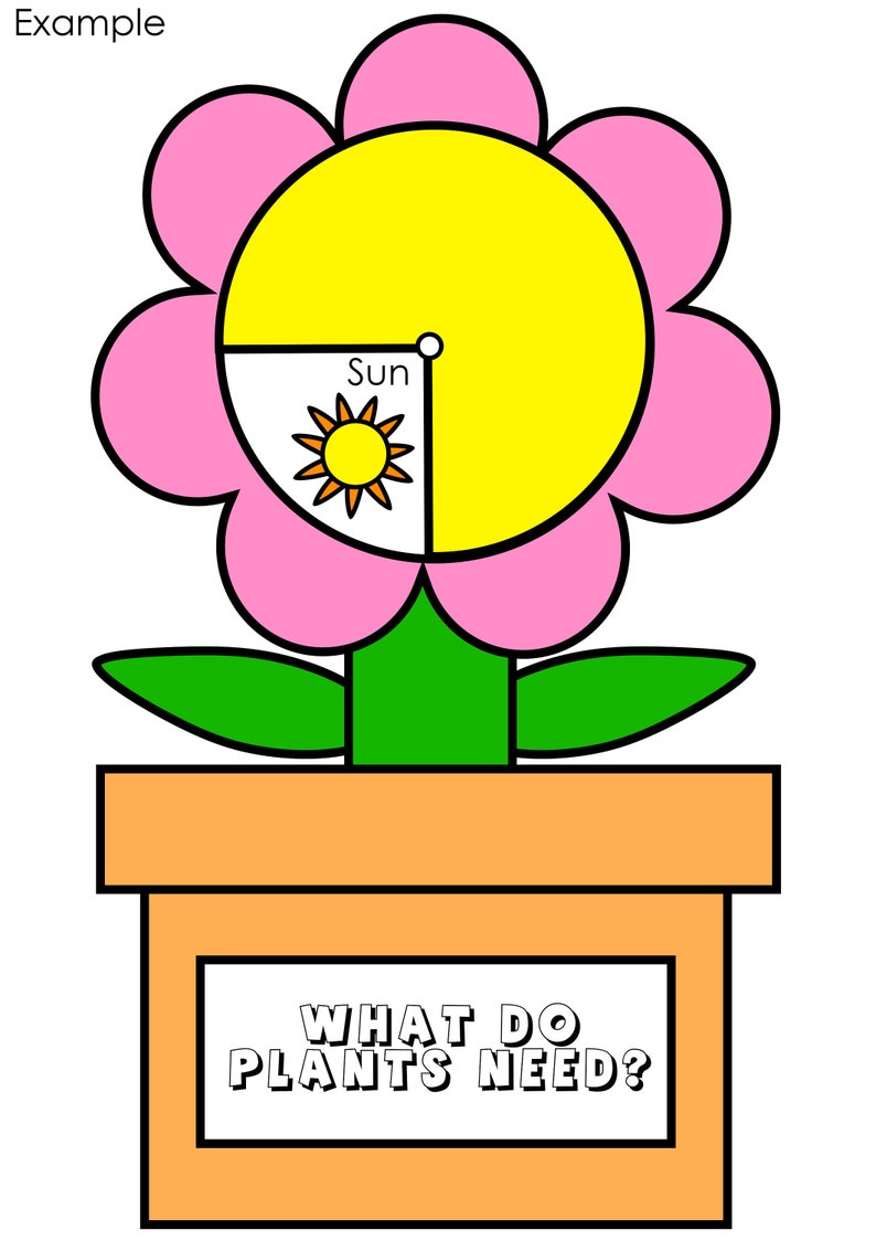 What a Flower Needs to Grow, Preschool Curriculum, Learning About ...