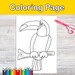Toucan Craft, Zoo Animal Activity, Rainforest Activity, Animal Craft ...