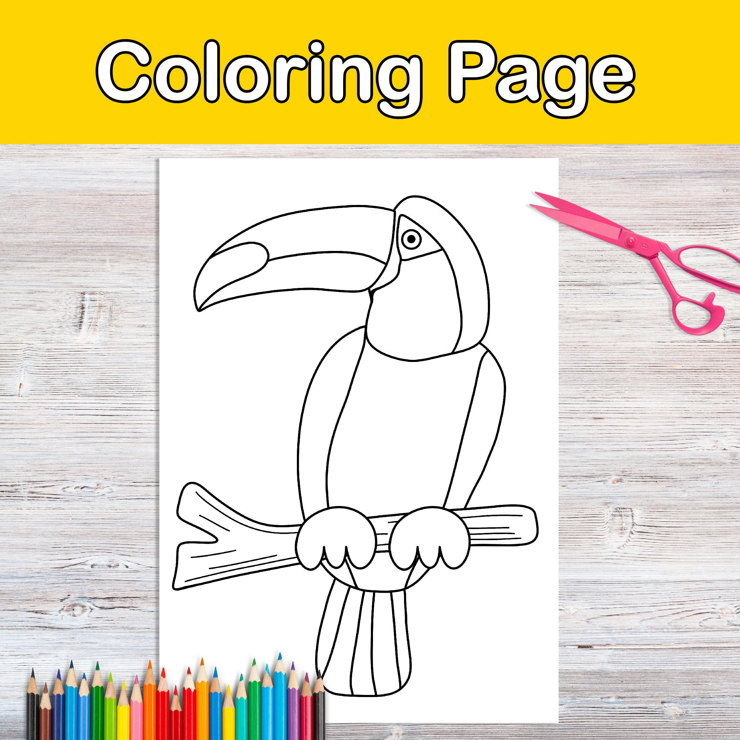 Toucan Craft, Zoo Animal Activity, Rainforest Activity, Animal Craft ...