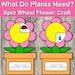 What a Flower Needs to Grow, Preschool Curriculum, Learning About ...