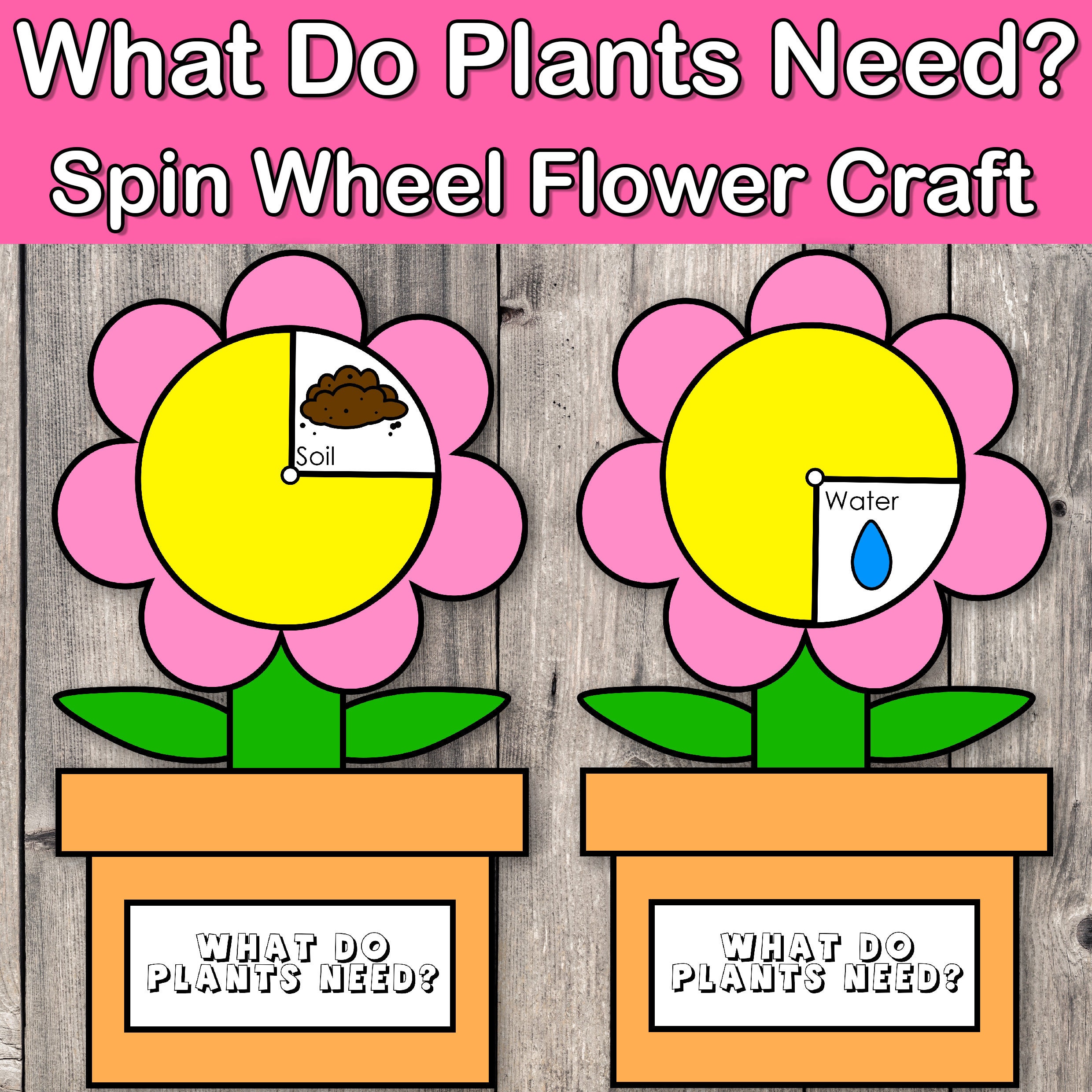 What a Flower Needs to Grow, Preschool Curriculum, Learning About ...
