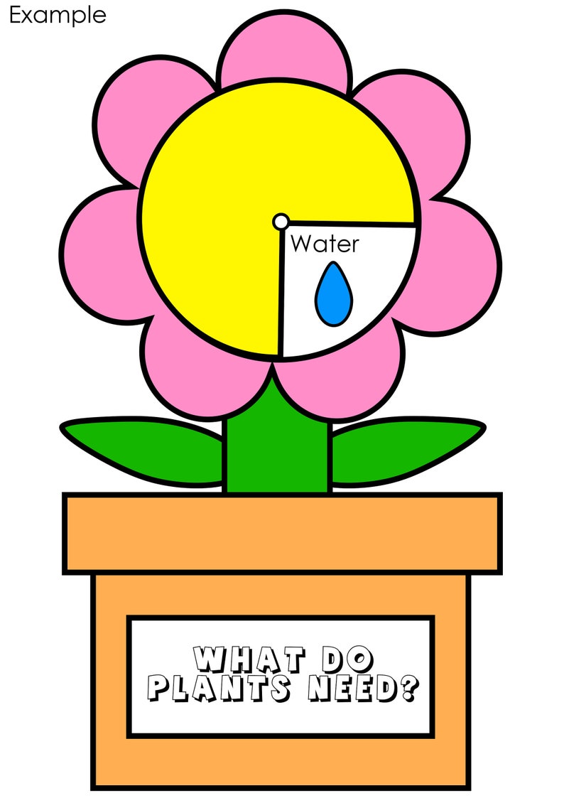 What a Flower Needs to Grow, Preschool Curriculum, Learning About ...