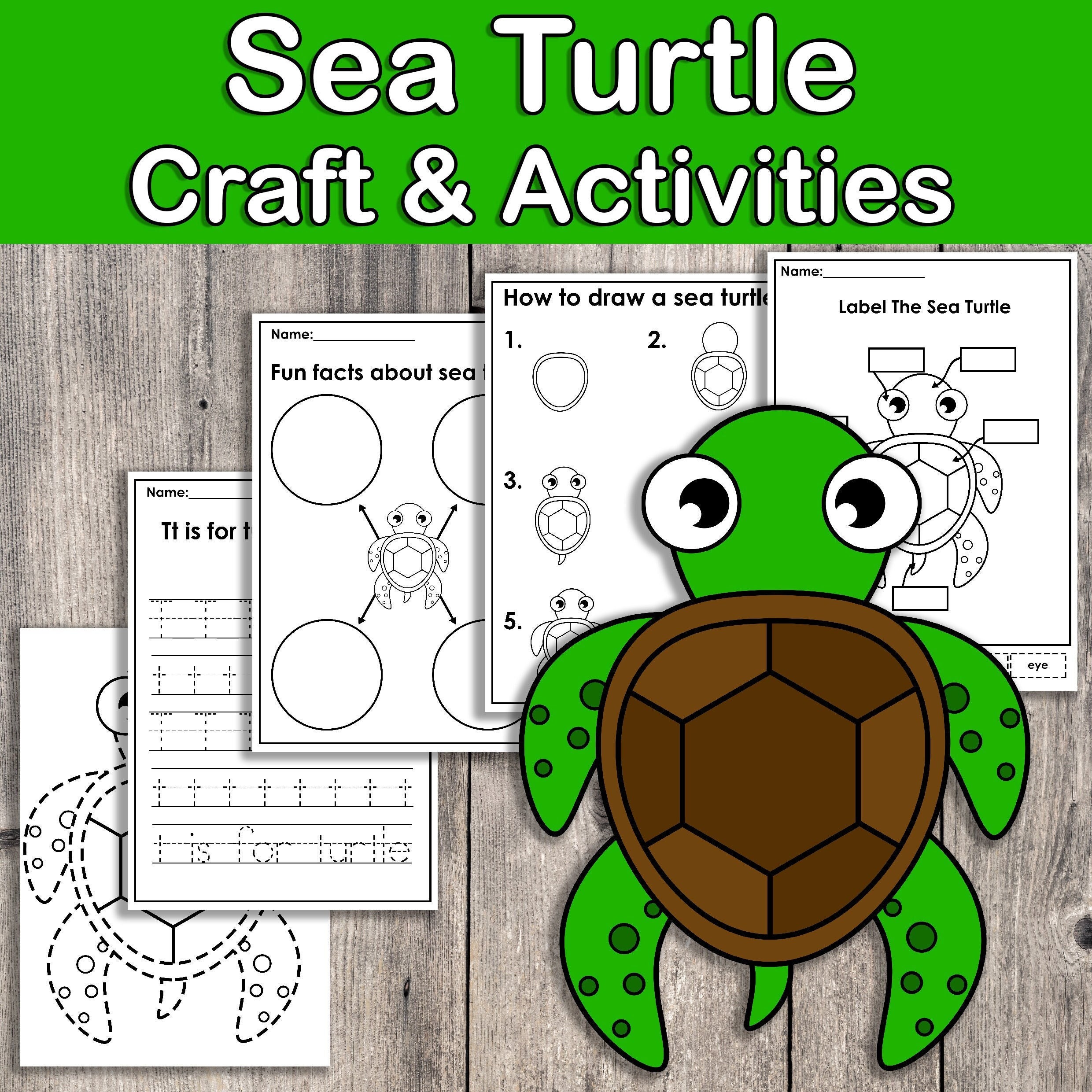 Sea Turtle Craft and Activities, Ocean Animals Activities, Homeschool ...