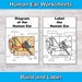 Build and Label the Human Ear | Anatomy Worksheets | Ear Activities ...