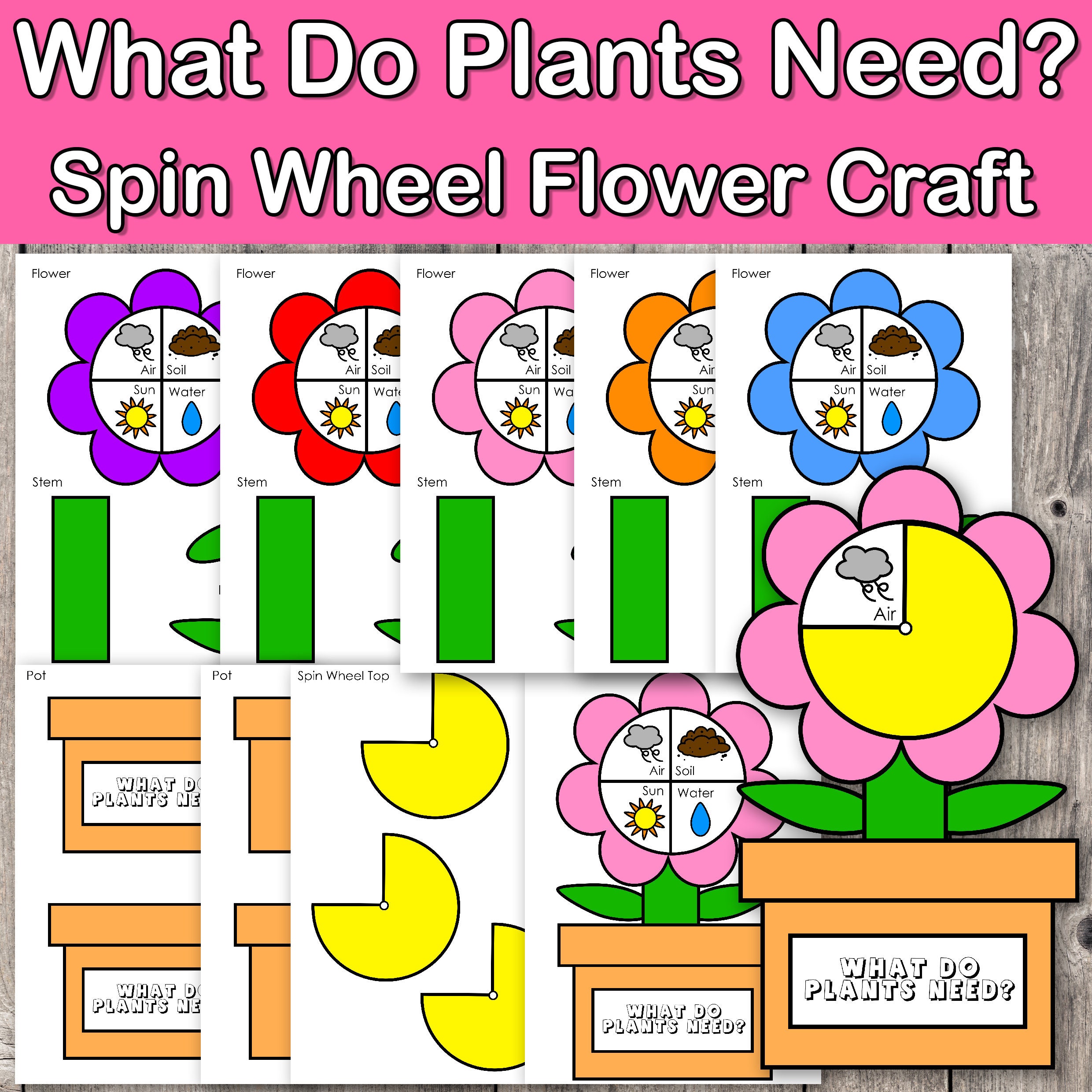 What a Flower Needs to Grow, Preschool Curriculum, Learning About ...