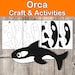 Orca Craft, Killer Whale Craft, Ocean Animal, Fine Motor Practice ...