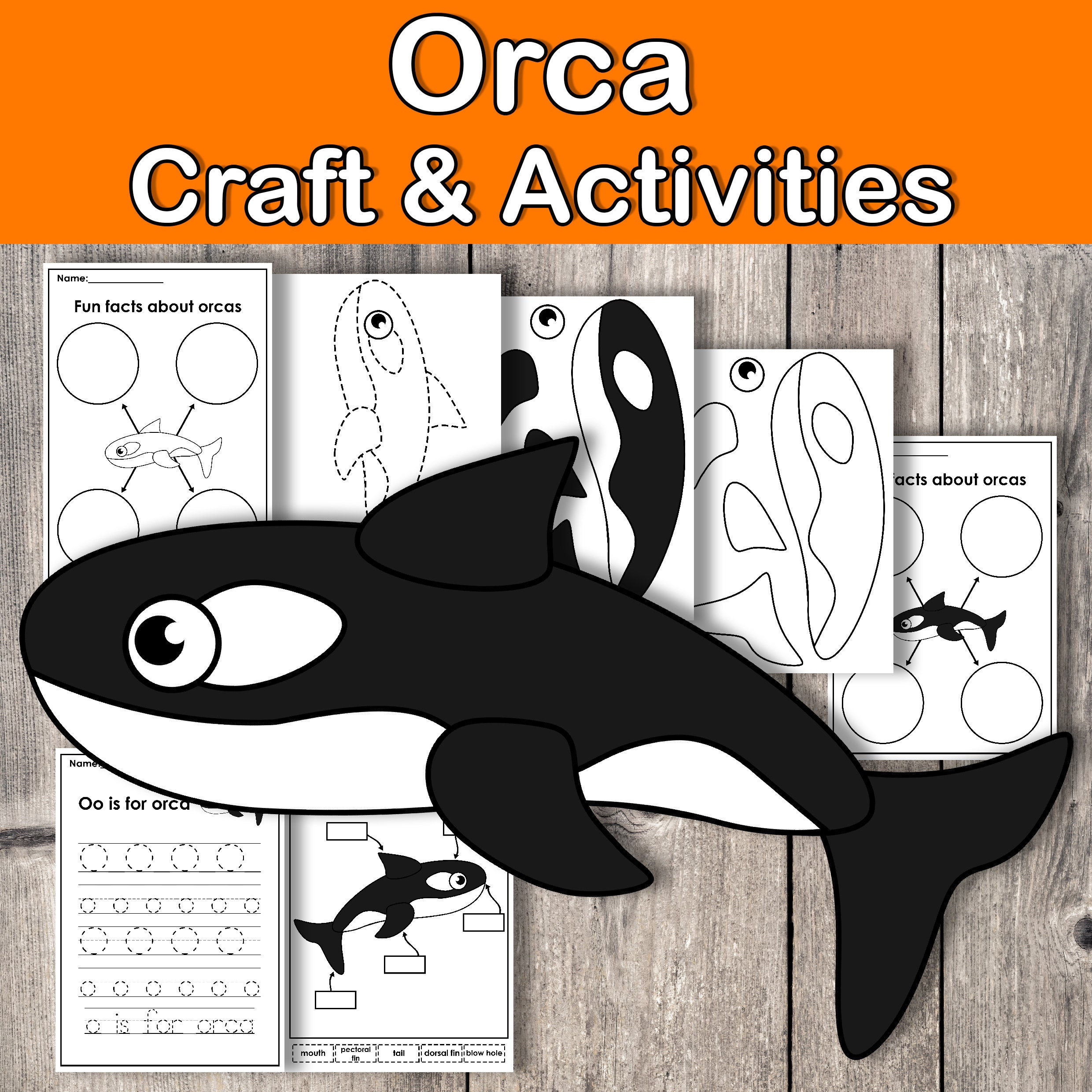 Orca Whale Craft